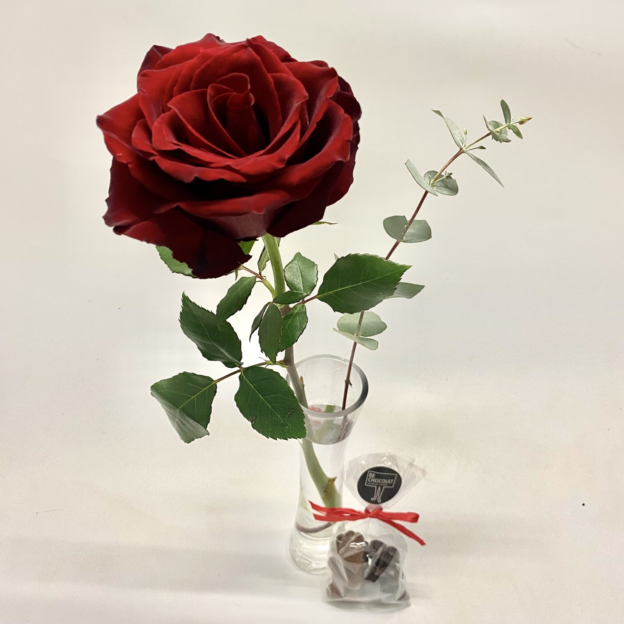 Single Rose & Chocolates | Valentine's Day | Brighton Flower