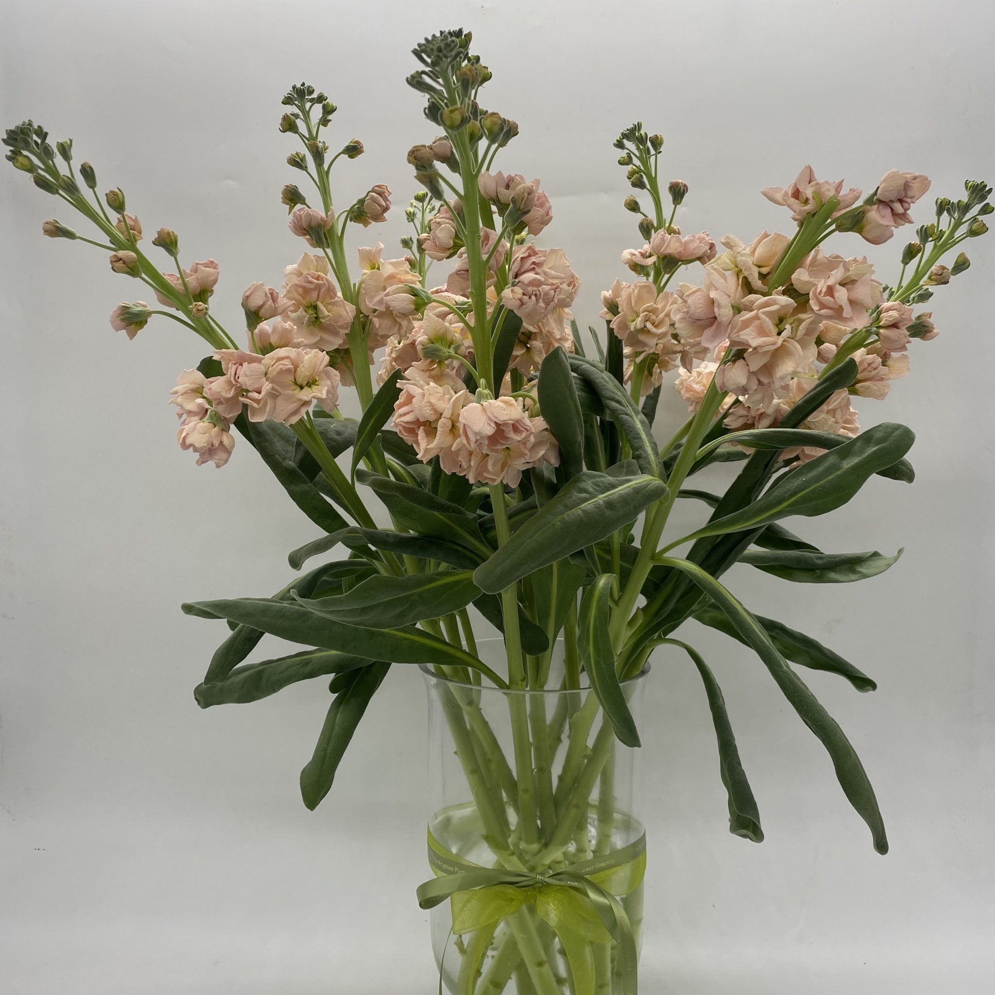 Our Brighton Flower Shop | The Brighton Flower Company