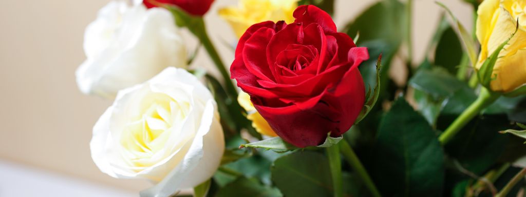 The Brighton Flower Company | Florist In Brighton & Hove