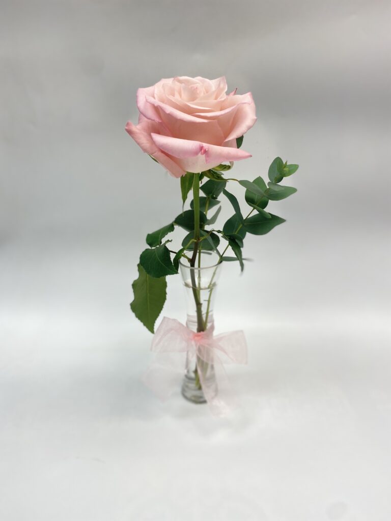 Single Pink Rose & Chocolates | The Brighton Flower Company