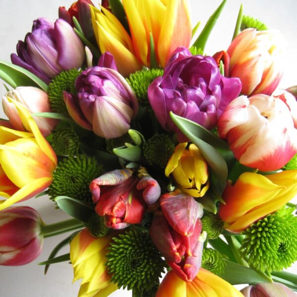 Top Flowers Associated With Spring And Their Meanings